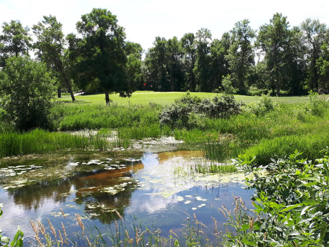 Interlake Tourism | Netley Creek Golf & RV Park