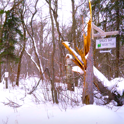 10 Reasons to Experience Manitoba's Interlake this Winter \ 10 raisons ...